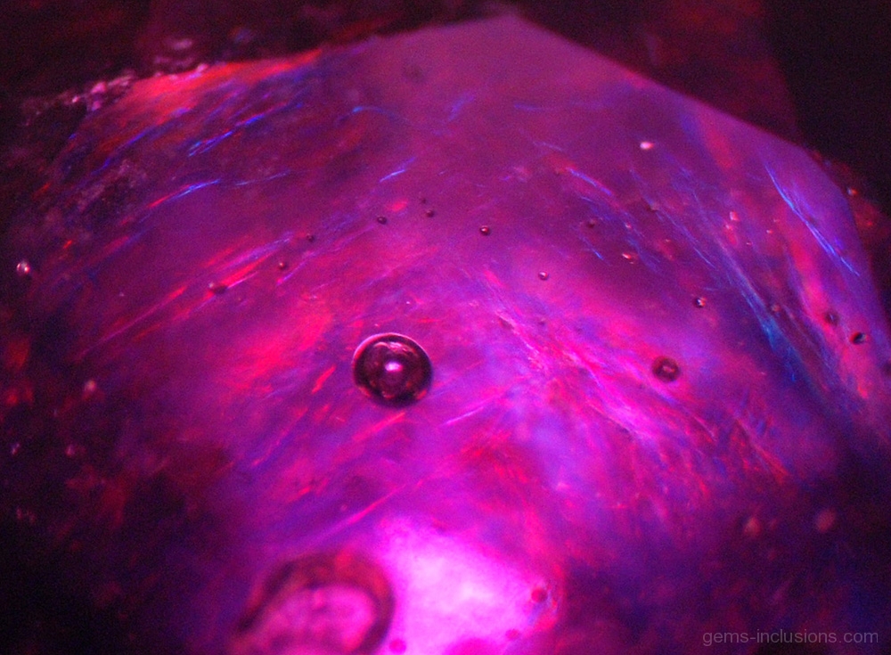 Treat me well | gems-inclusions